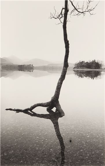 Fay Godwin | Flooded Tree, Derwentwater (1981) | MutualArt