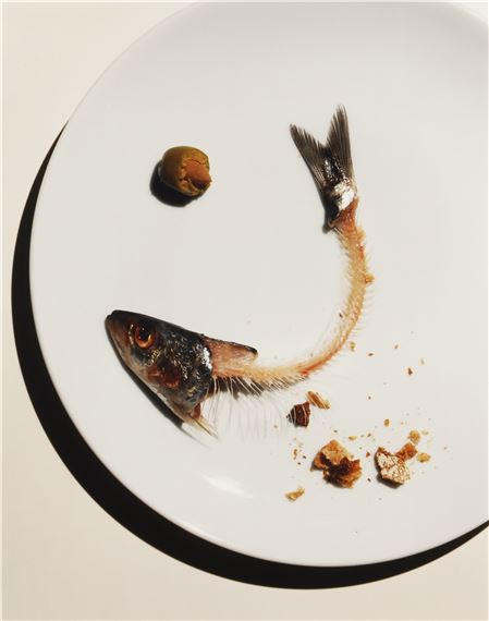 Irving Penn | Fish Bones on a Plate (21) | MutualArt