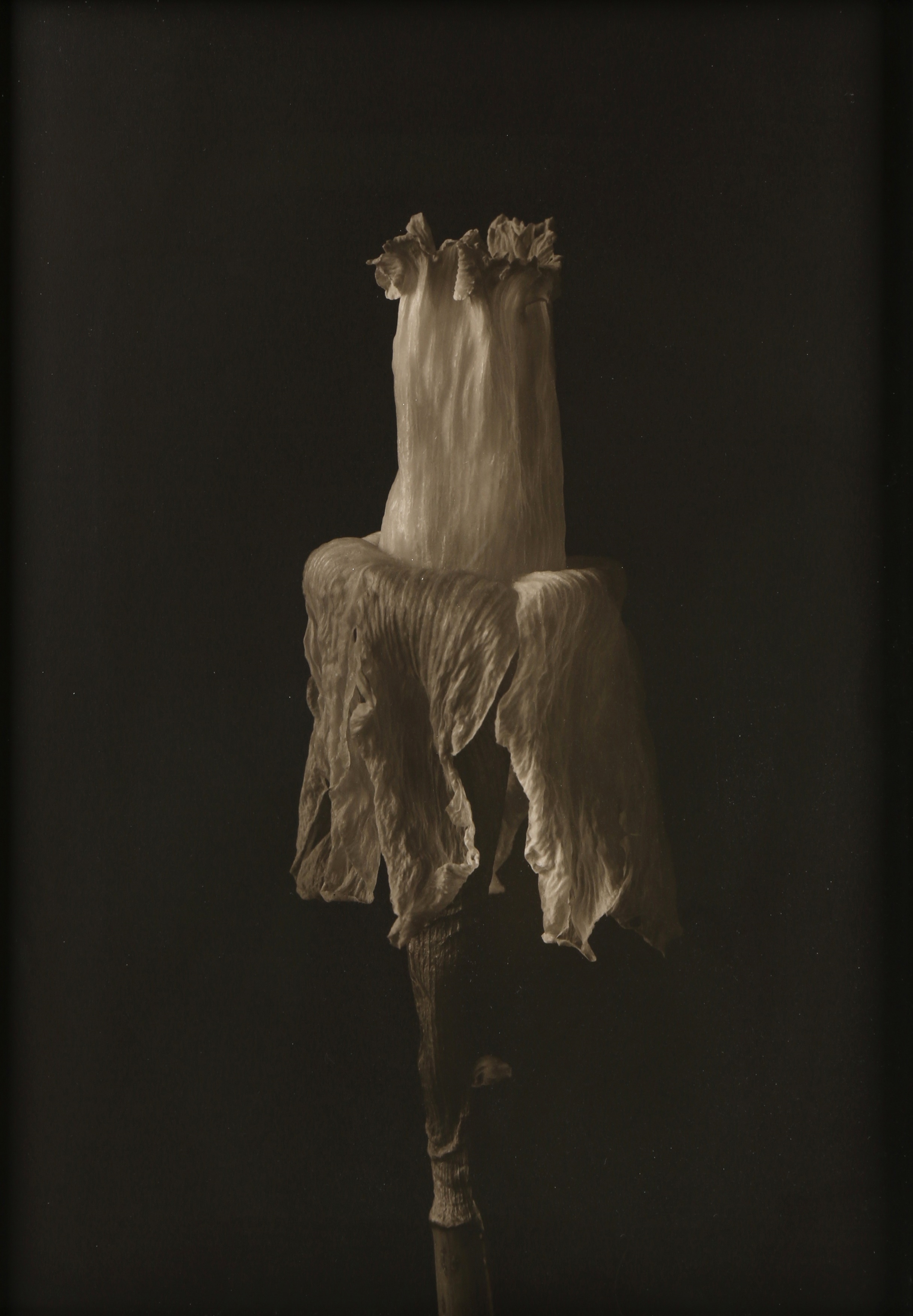 Bruce Rae | Still Lives | MutualArt