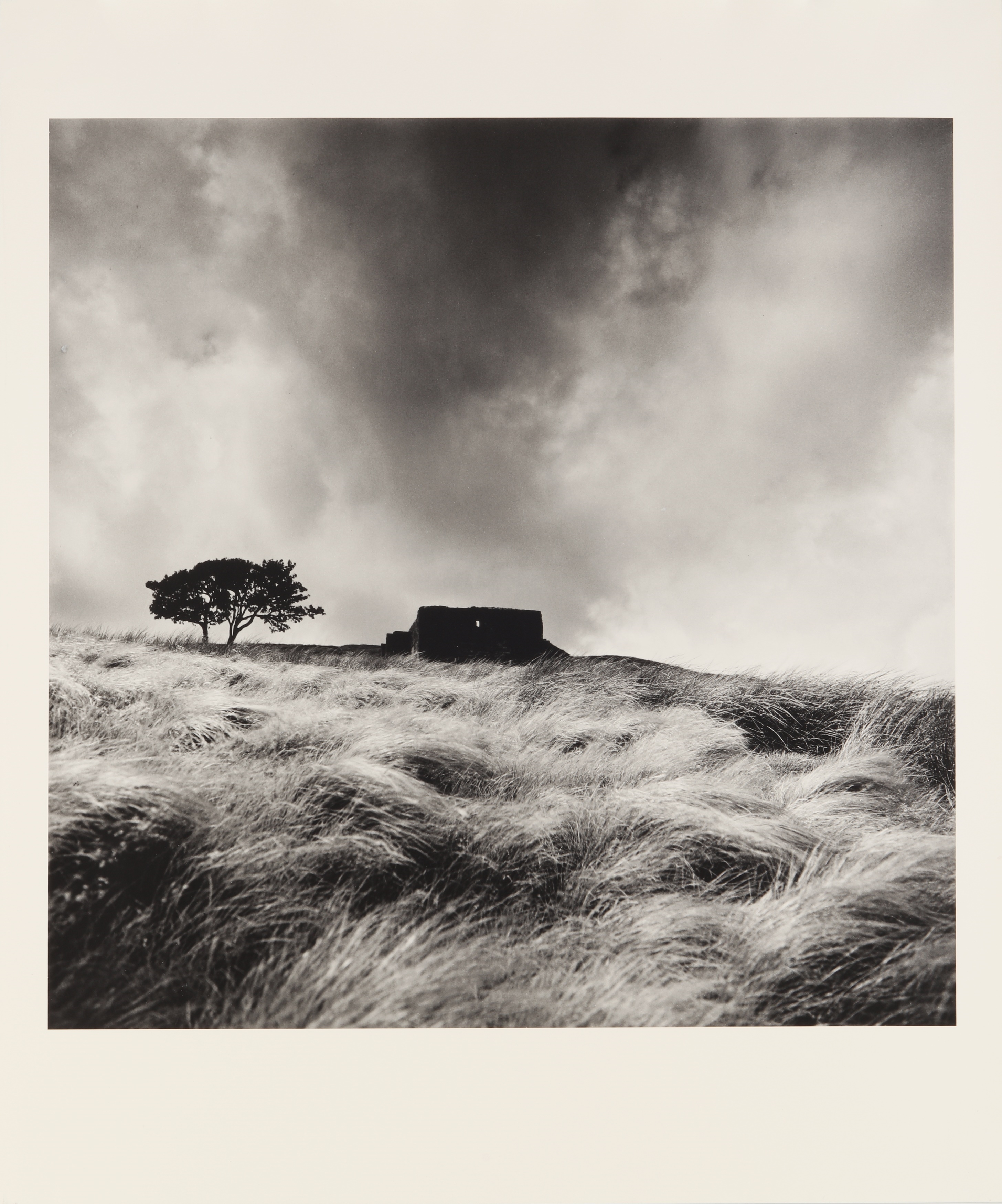 Fay Godwin | Top Withens (1977) | MutualArt