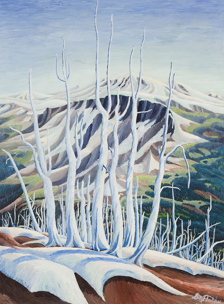Donald Flather | Silver Forest | MutualArt