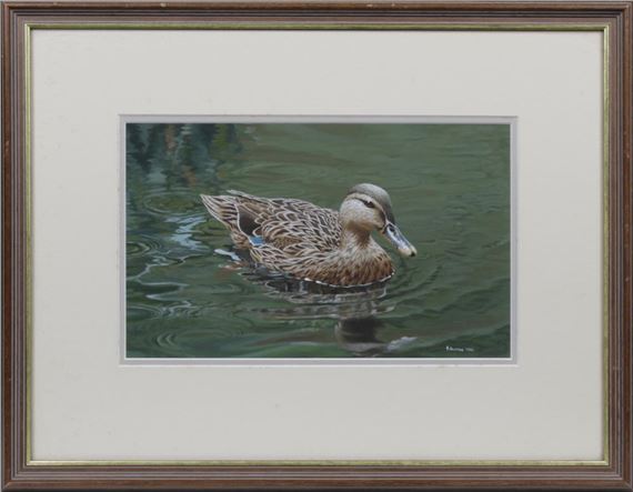 Kevin Hickman | A Mallard swimming in a pond (1998) | MutualArt