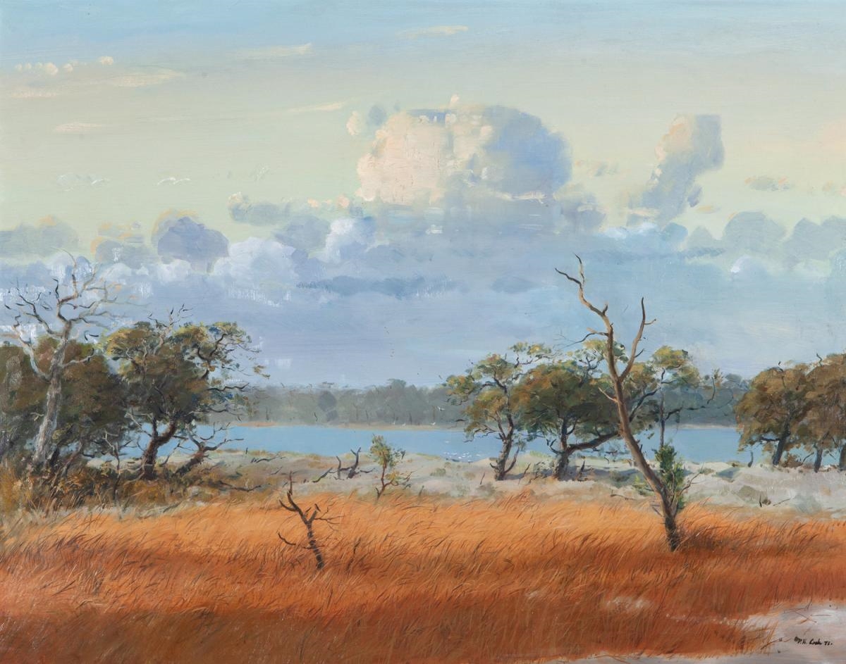 Phillip Cook | Stormy Day Gnangara | MutualArt
