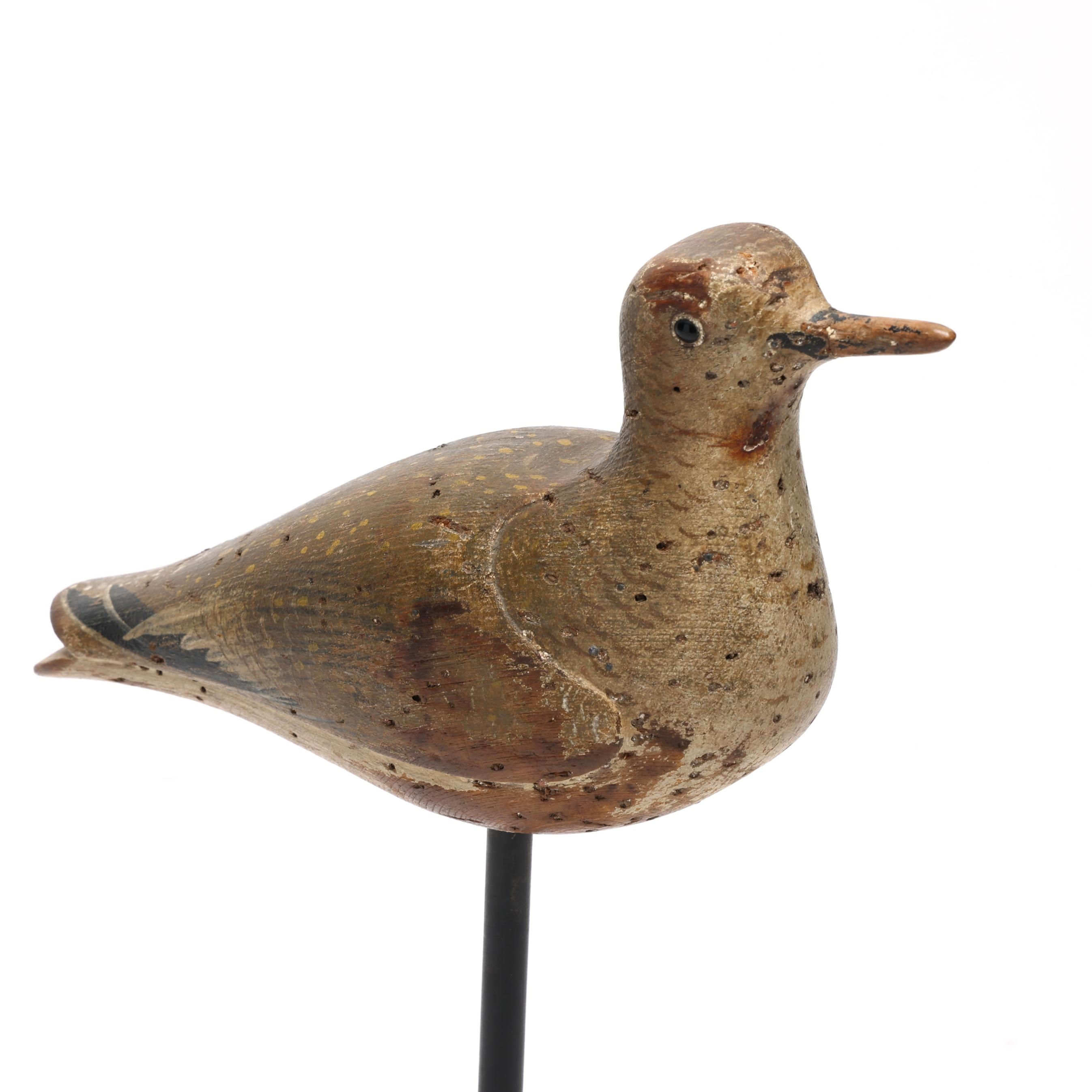 John Dilley | Golden Plover (1900) | MutualArt