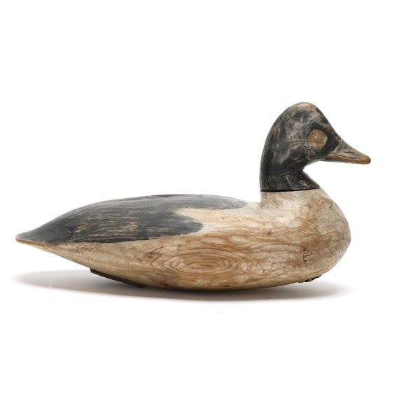 Doug Jester | Rare Goldeneye (Circa 1930) | MutualArt