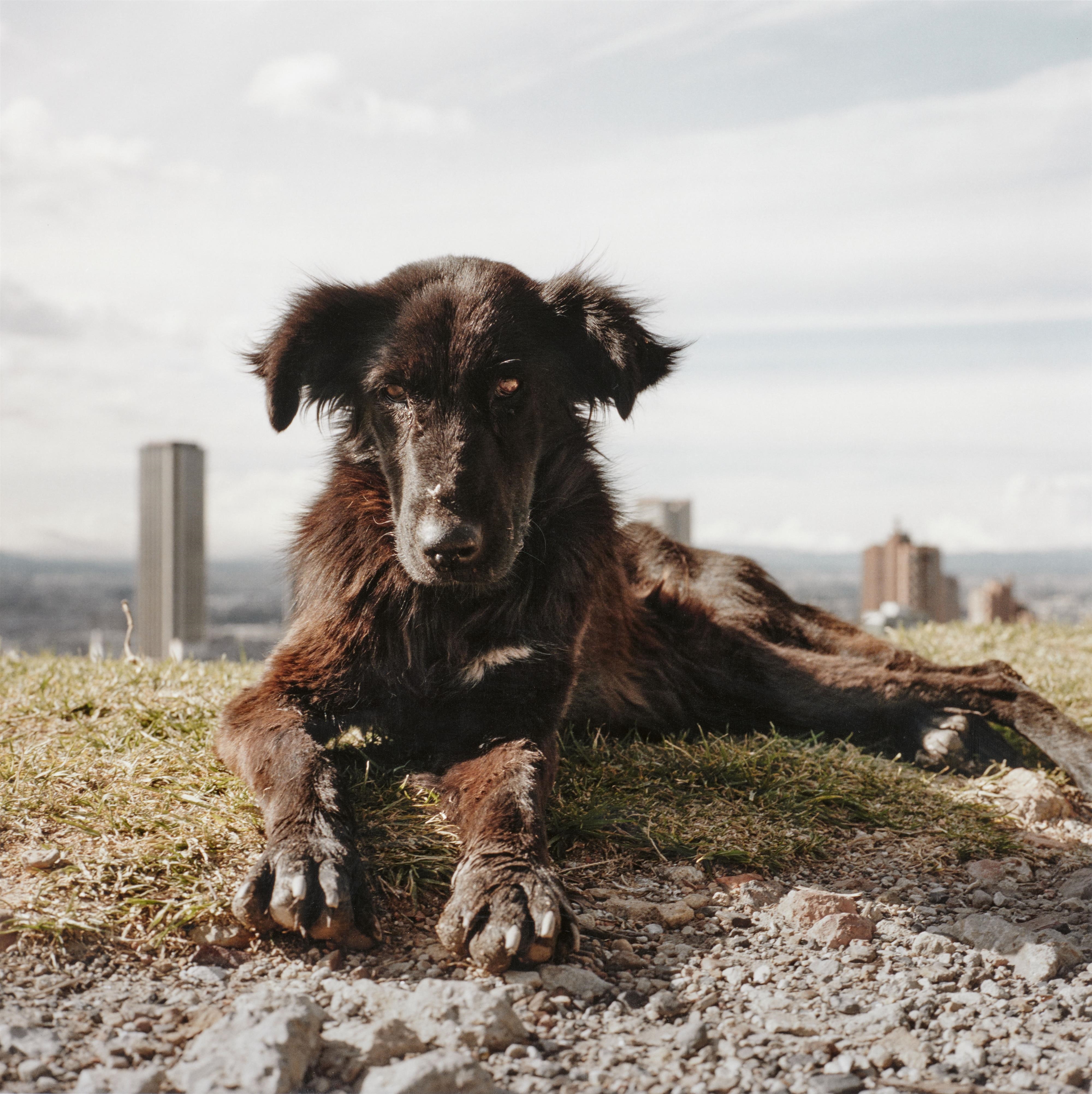 Alec Soth | Untitled 17, Bogotá (2003) | MutualArt