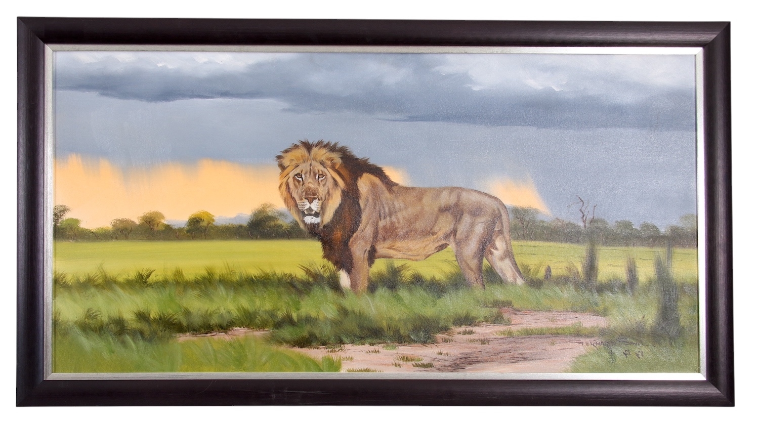Gerhard Smit | LION IN THE FELD | MutualArt
