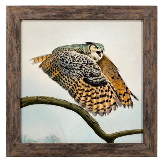 Ed Copley | Owl | MutualArt