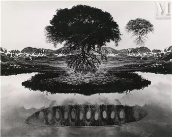 Jerry Uelsmann | 814 Artworks at Auction | MutualArt