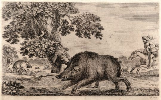 Stefano della Bella | Wildschwein läuft nach links (18) | MutualArt