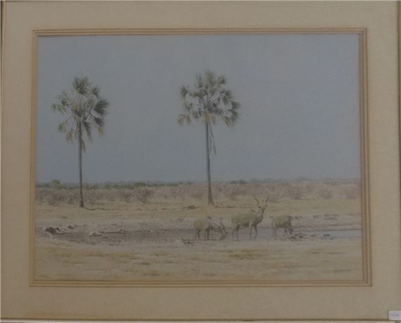 Kim Donaldson | Etosha/SWA Water Hole | MutualArt