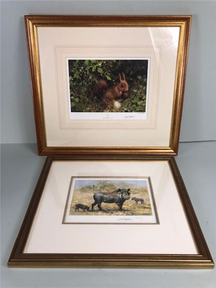 David Shepherd | Red Squirrel | MutualArt