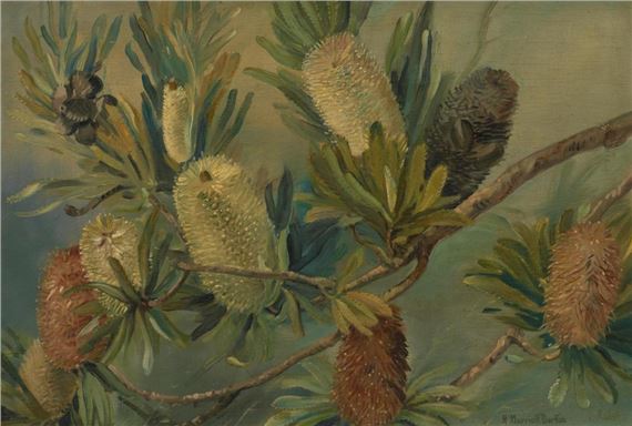 Harry Marriott Burton | Banksias | MutualArt