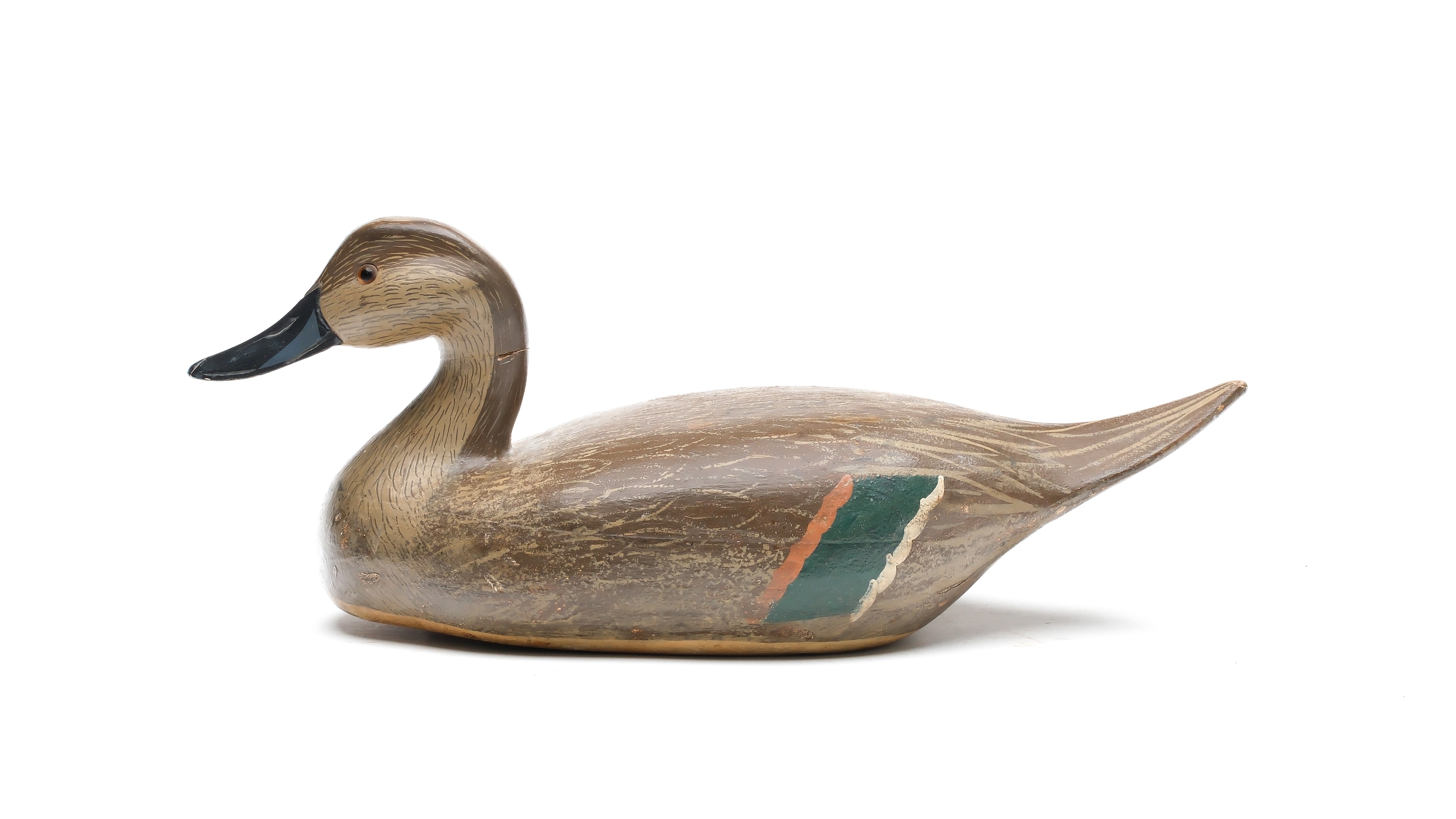 John William Luedtke | Very rare pintail hen | MutualArt