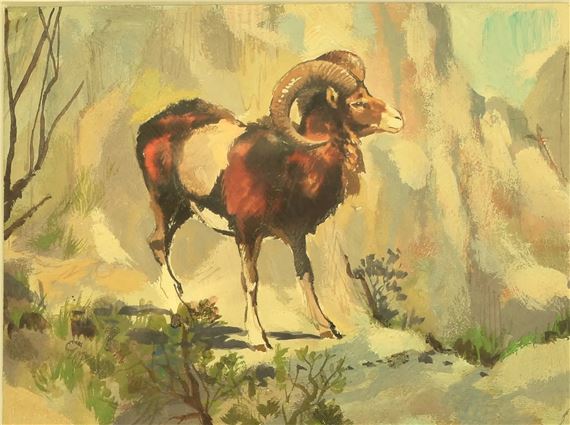 Rien Poortvliet | Mouflonram 1960 | MutualArt