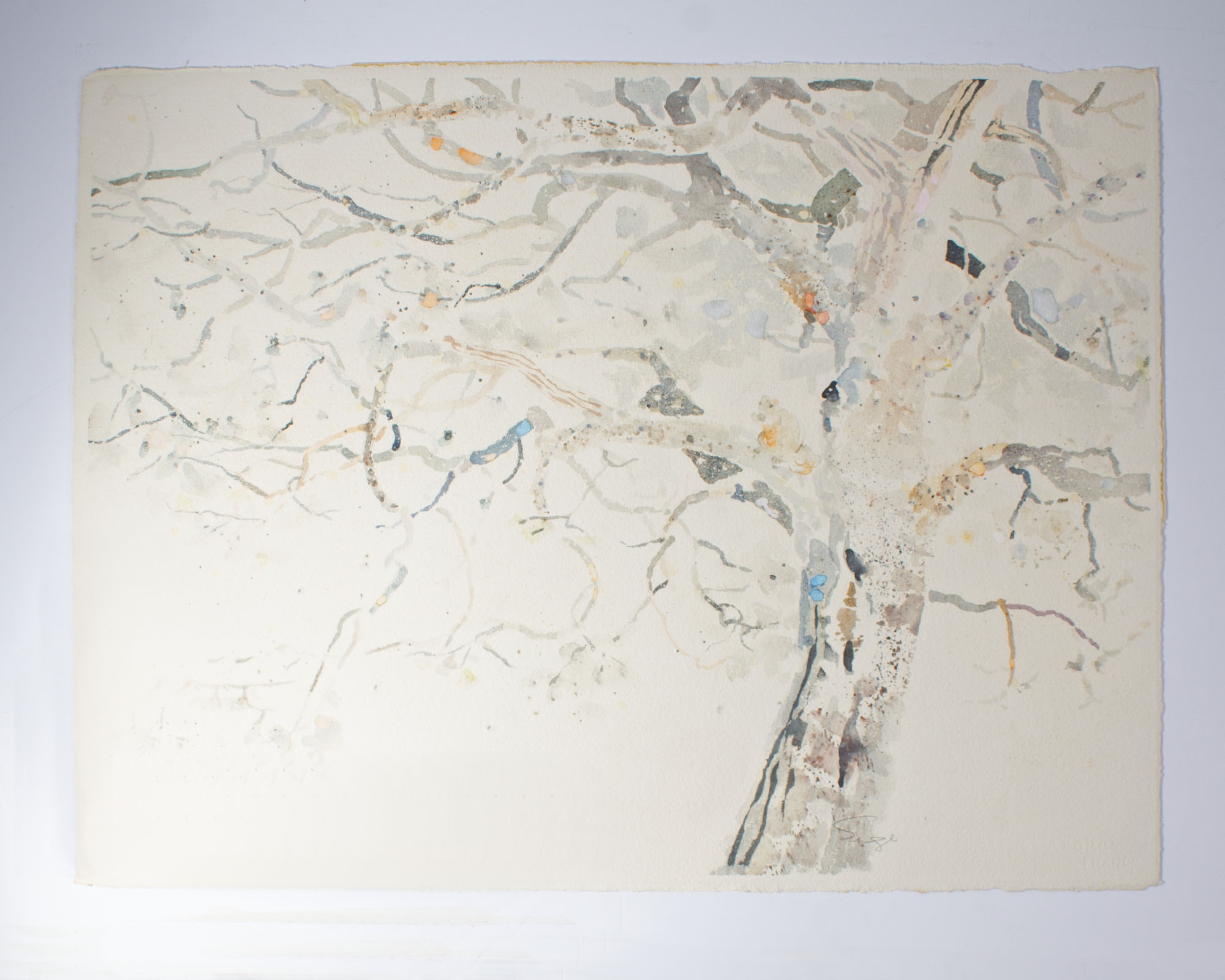 Walter Felix Sorge | Abstract Watercolor Painting of a Tree | MutualArt