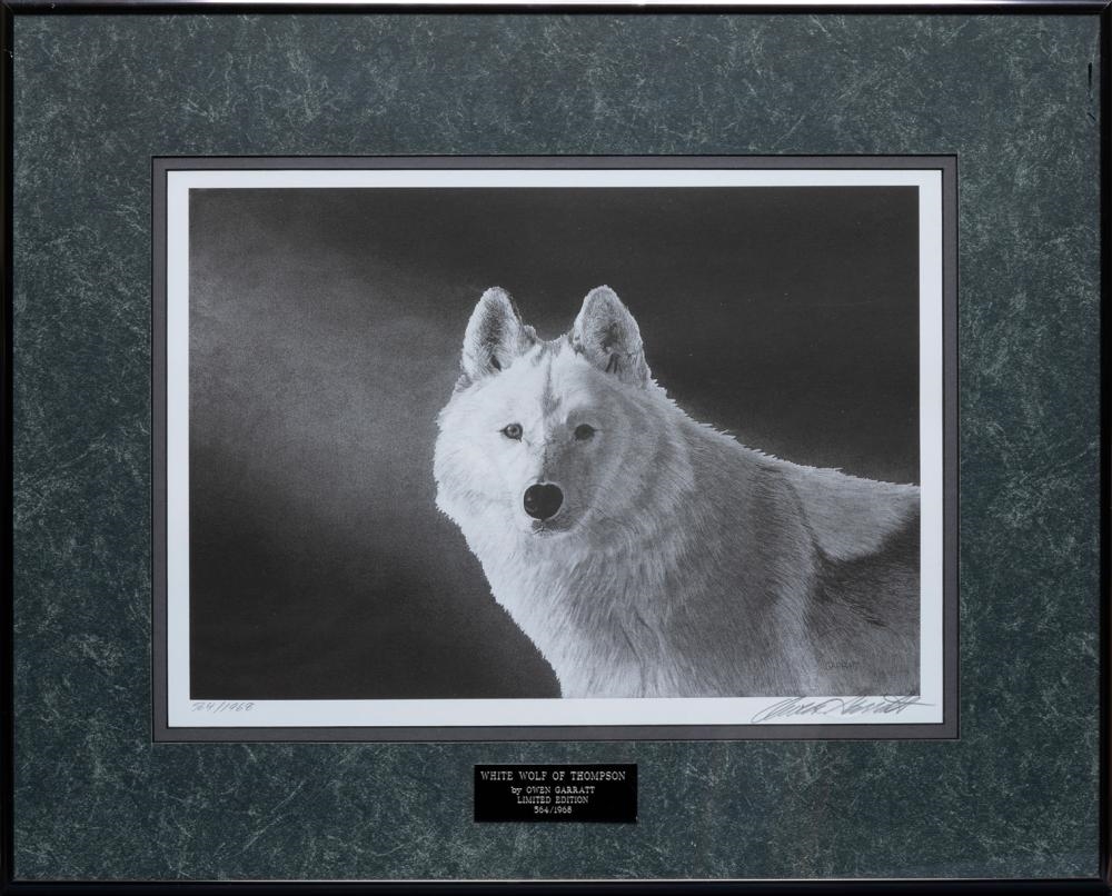 Owen Garratt | The White Wolf of Thompson | MutualArt