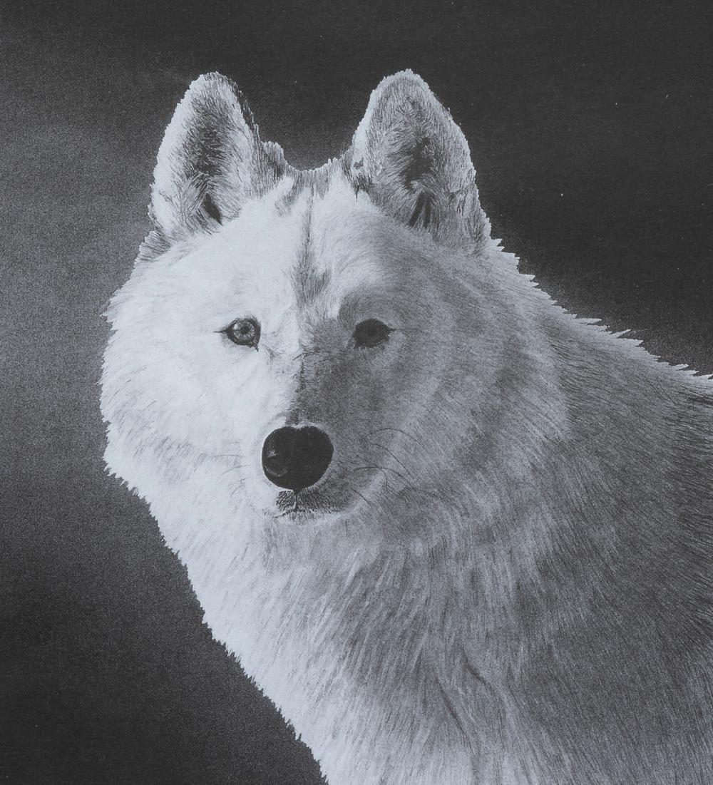 Owen Garratt | The White Wolf of Thompson | MutualArt