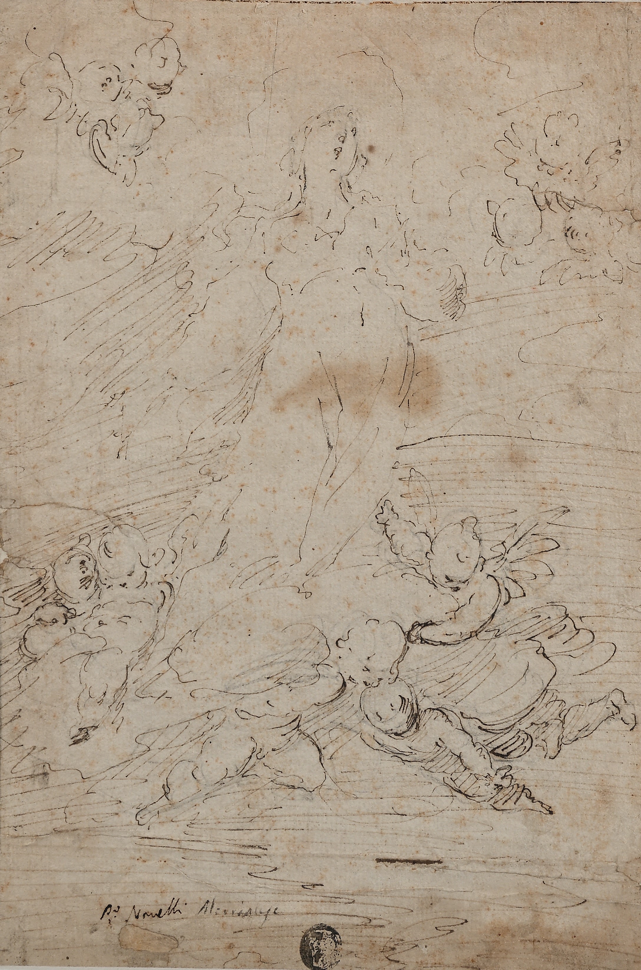 Pietro Antonio Novelli | Studio per Assunzione della Madonna | MutualArt
