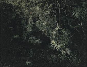 Masayuki Hara | Fern | MutualArt