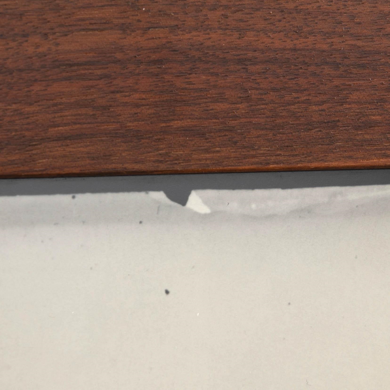 Denise Grünstein | Out of focus camels (1999) | MutualArt