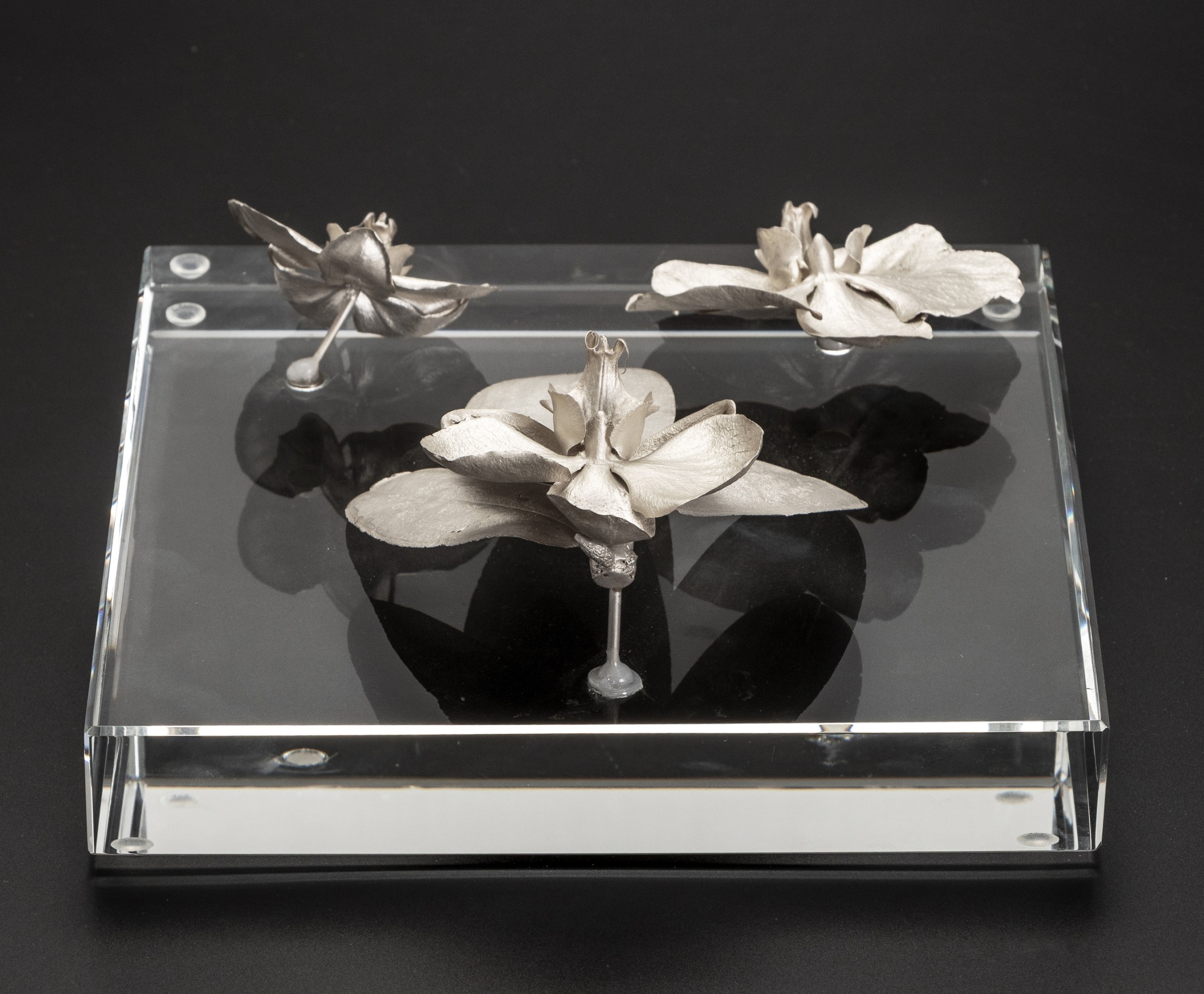 Nic Bladen | PHALAENOPSIS TRIO (2007) | MutualArt