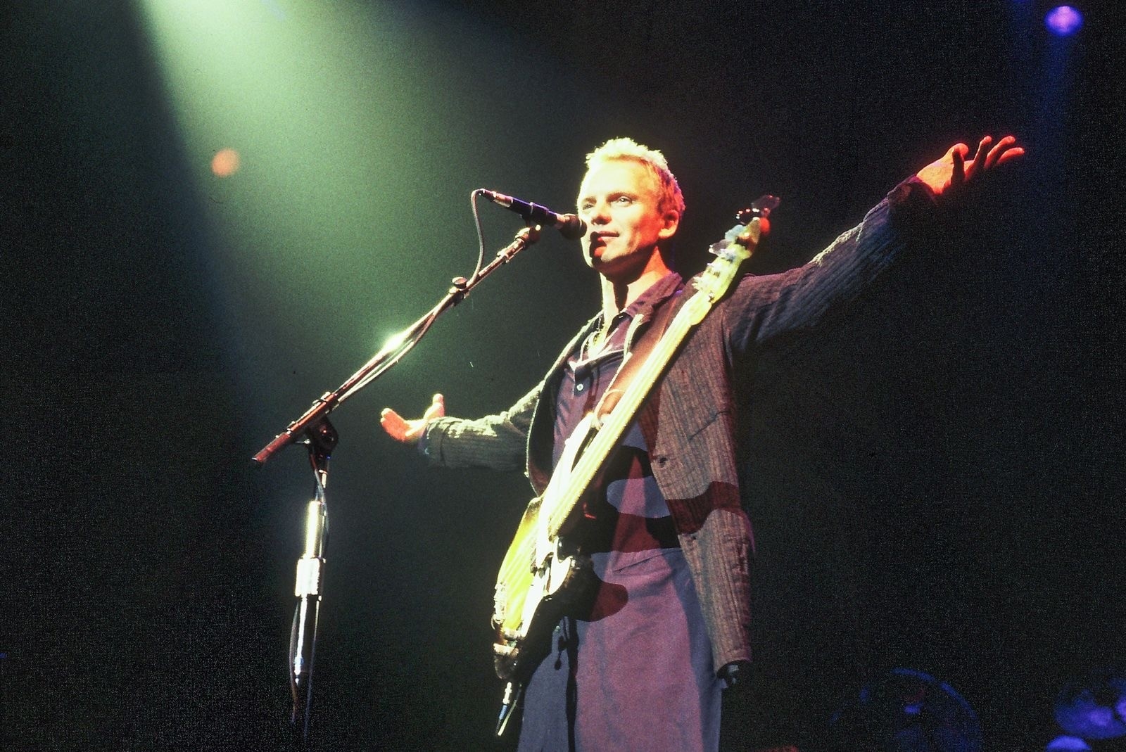 Nicky Newman | STING'S BIRTHDAY (1994) | MutualArt