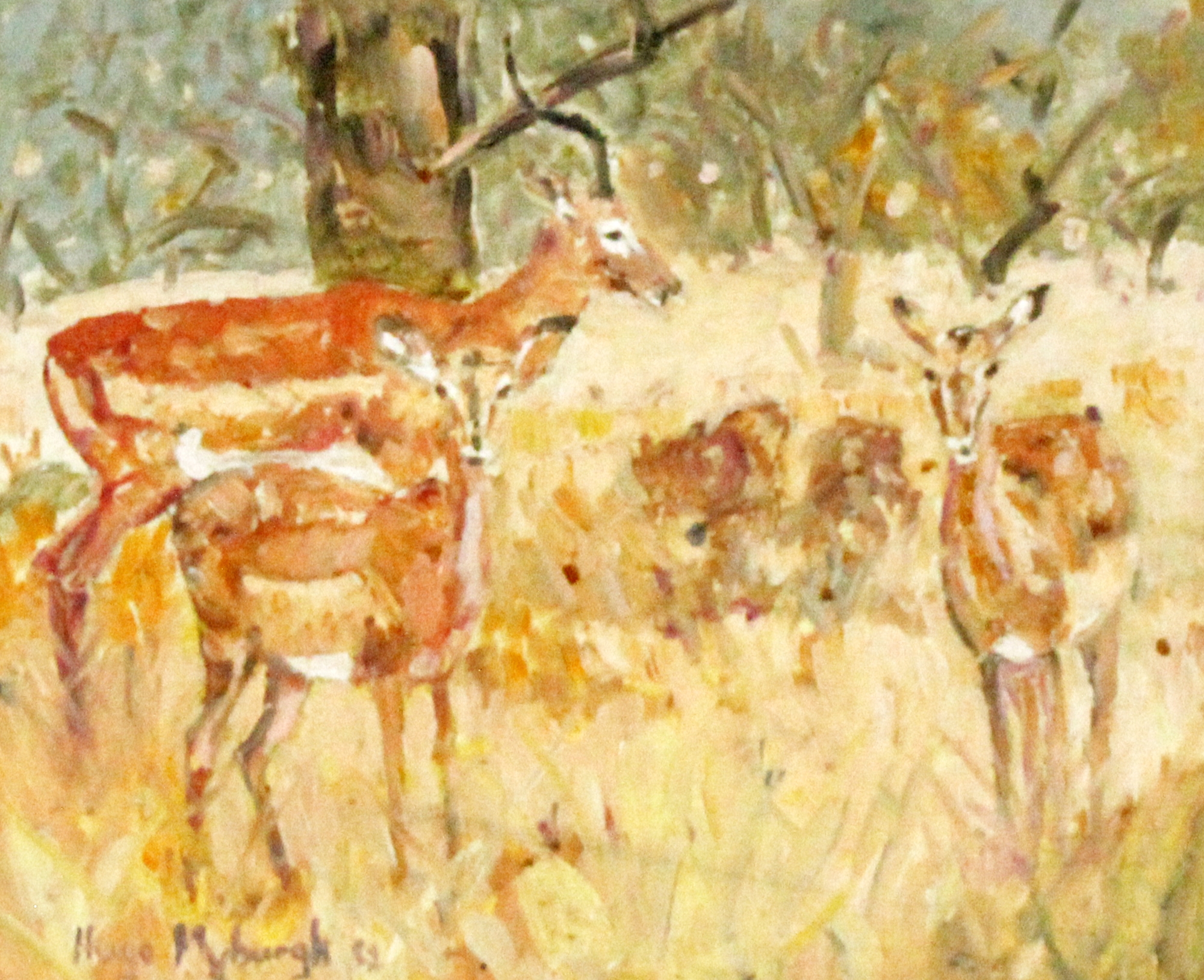 Hugo Myburgh | IMPALA | MutualArt