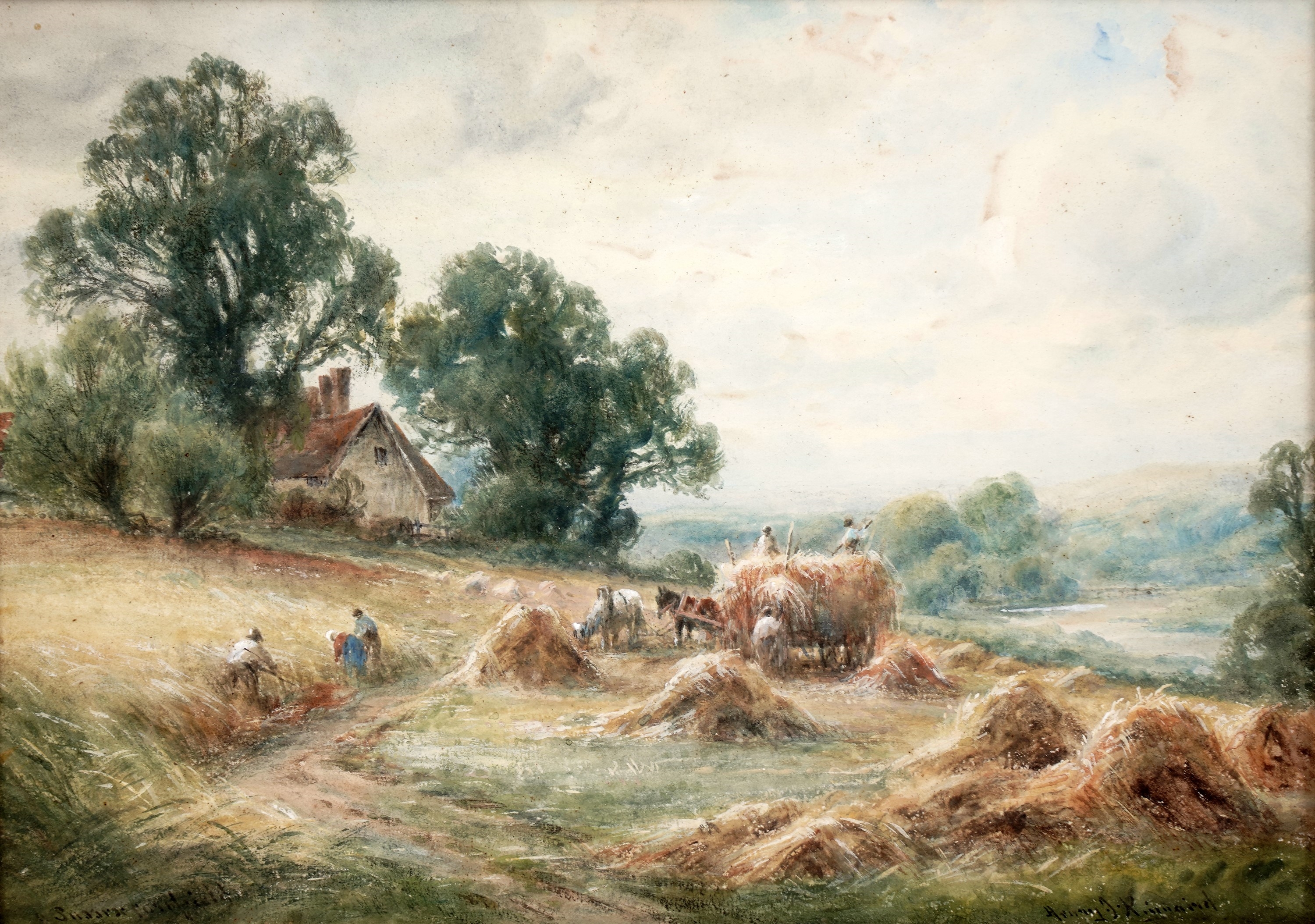 Henry John Kinnaird | A Sussex Cornfield | MutualArt