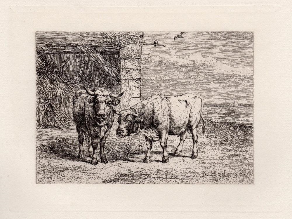 Karl Bodmer | Oxen (1872) | MutualArt