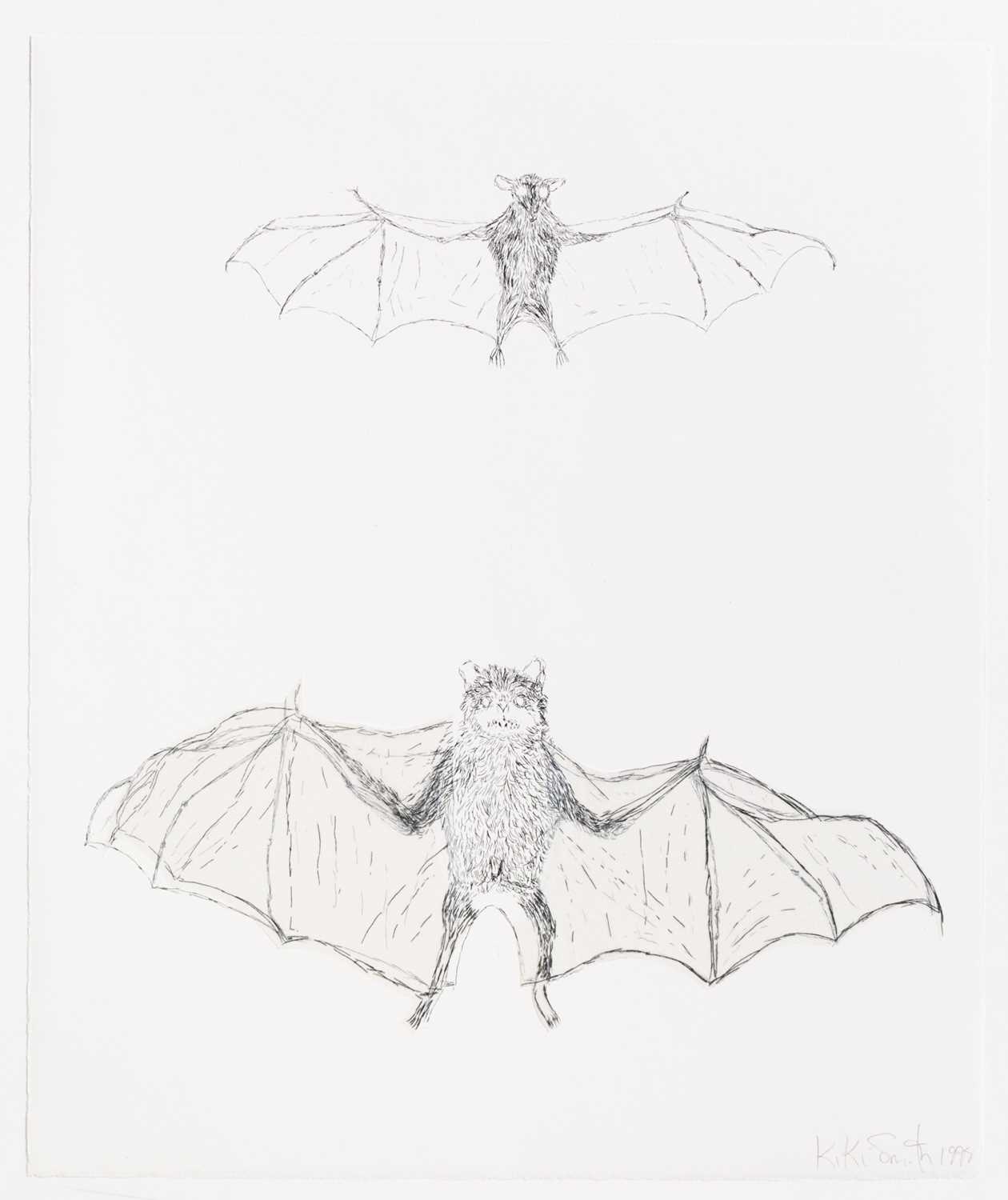 Kiki Smith | moth/bat/fly (1998) | MutualArt