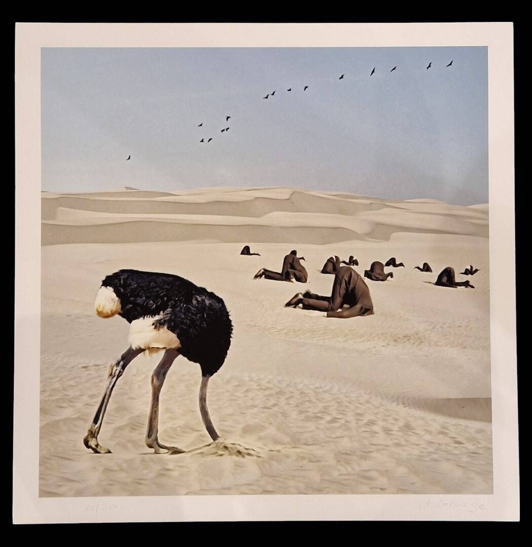 Mr. Strange | Ostrich politics | MutualArt