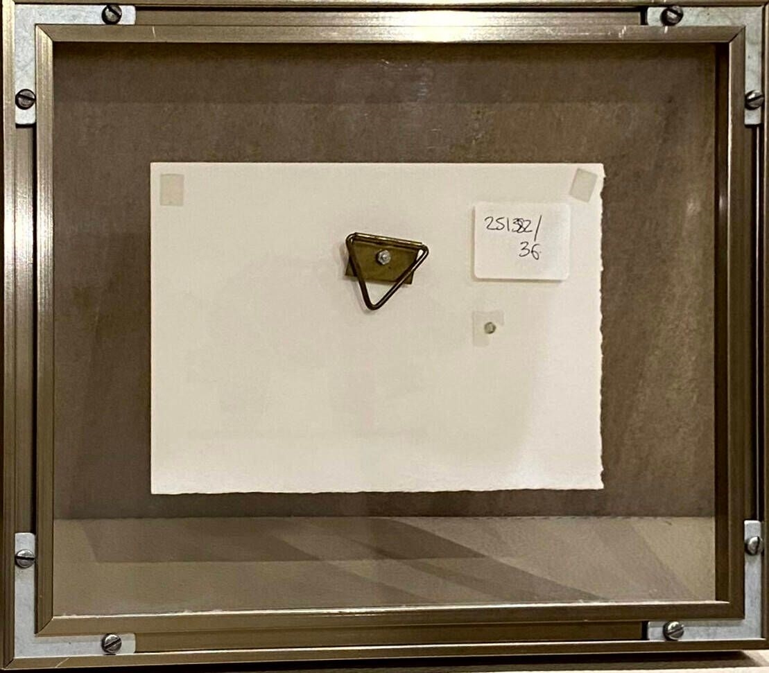 Mario Avati | Rhinoceros | MutualArt