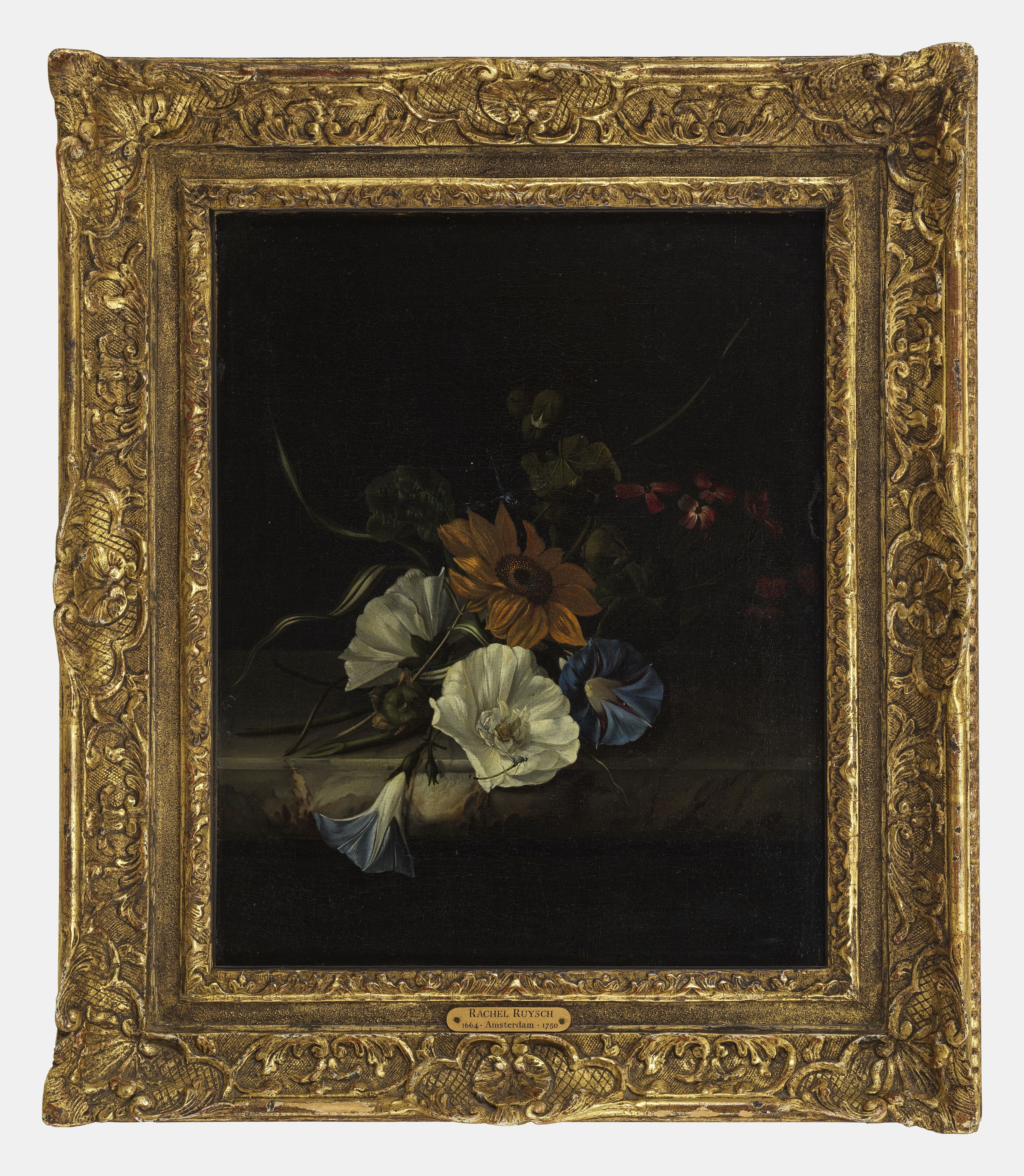 Rachel Ruysch | Jeté de fleurs sur entablement | MutualArt
