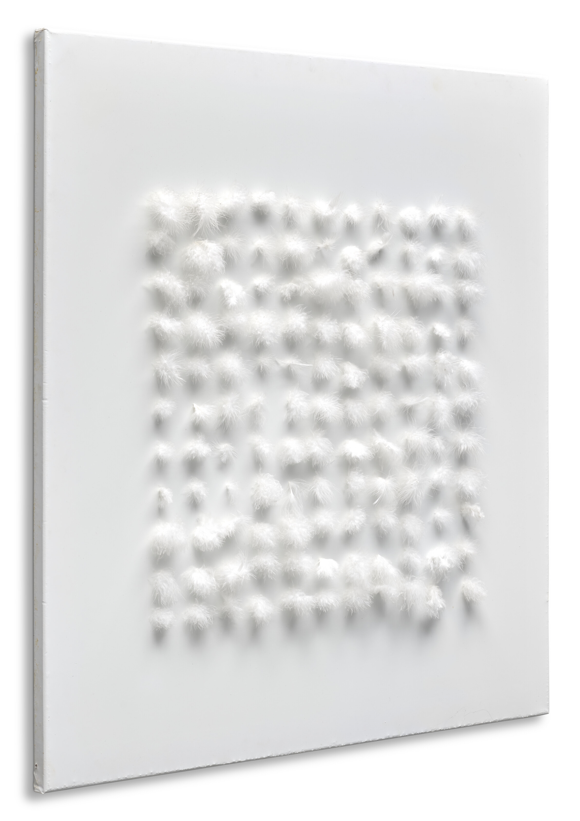 Henk Peeters | Weiße Federn | MutualArt