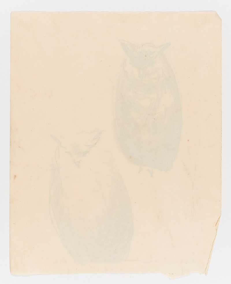 Edvard Munch | Two Owls (1915) | MutualArt