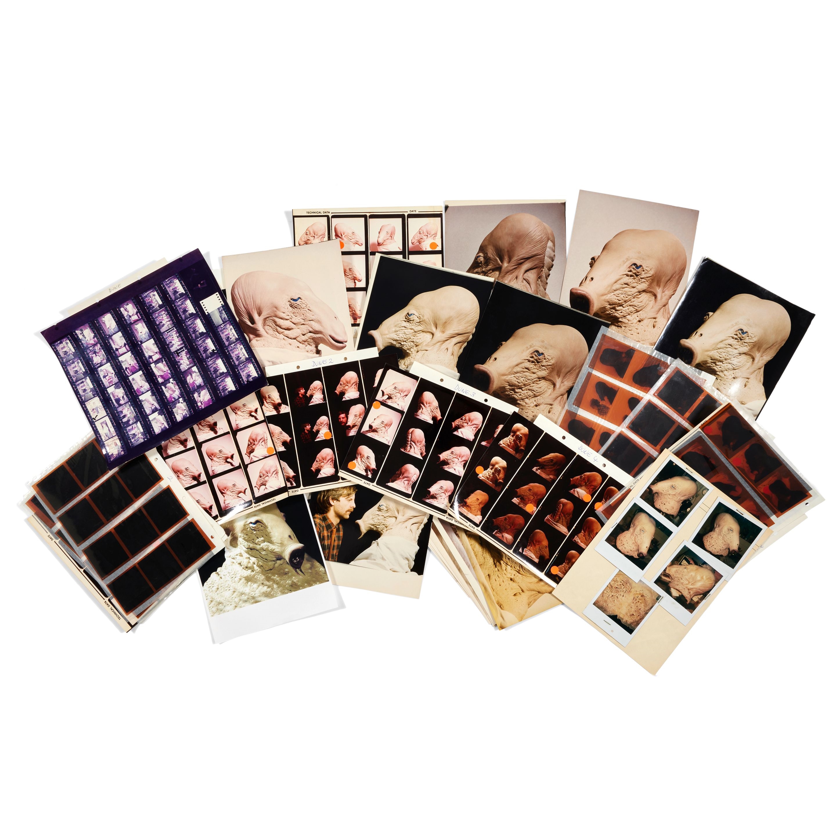 Christopher Tucker | Dune: A Second Stage Guild Navigator Head, (1984) | MutualArt