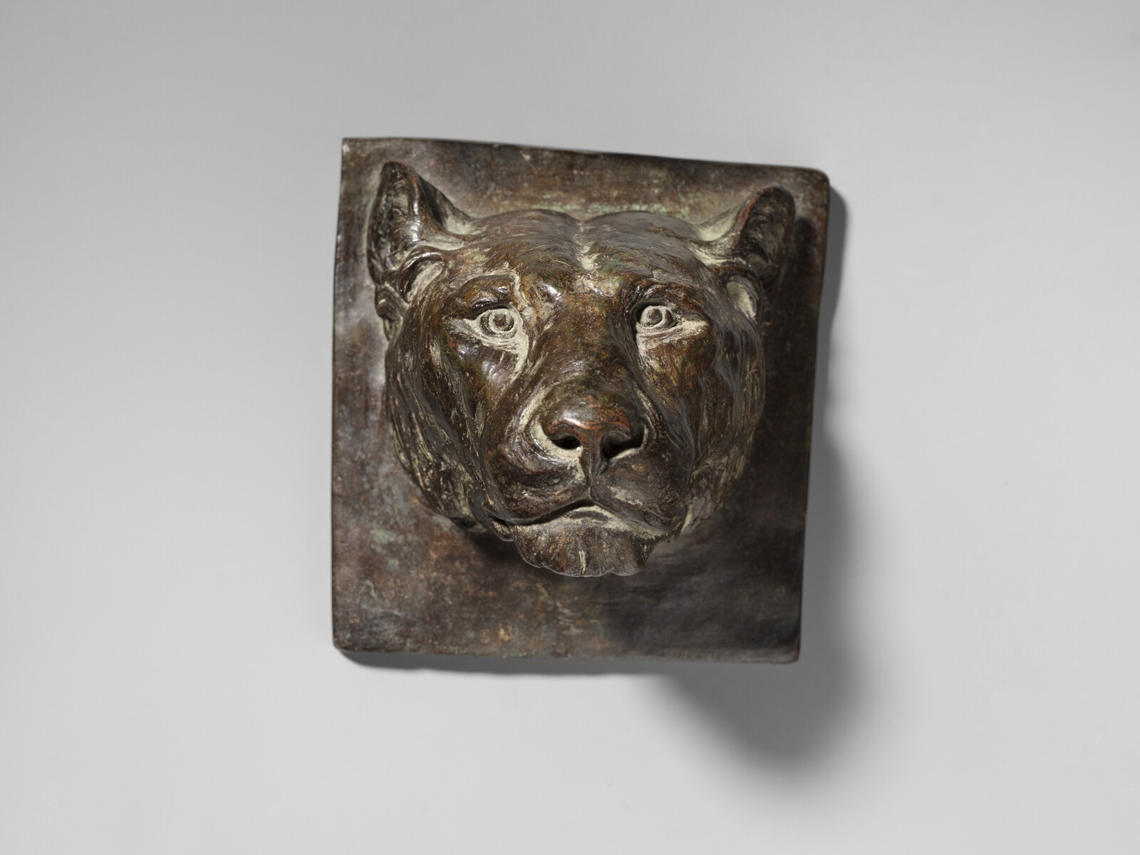 Margaret Helen Wiechmann | Square-shaped clipeus depicting a lioness's ...