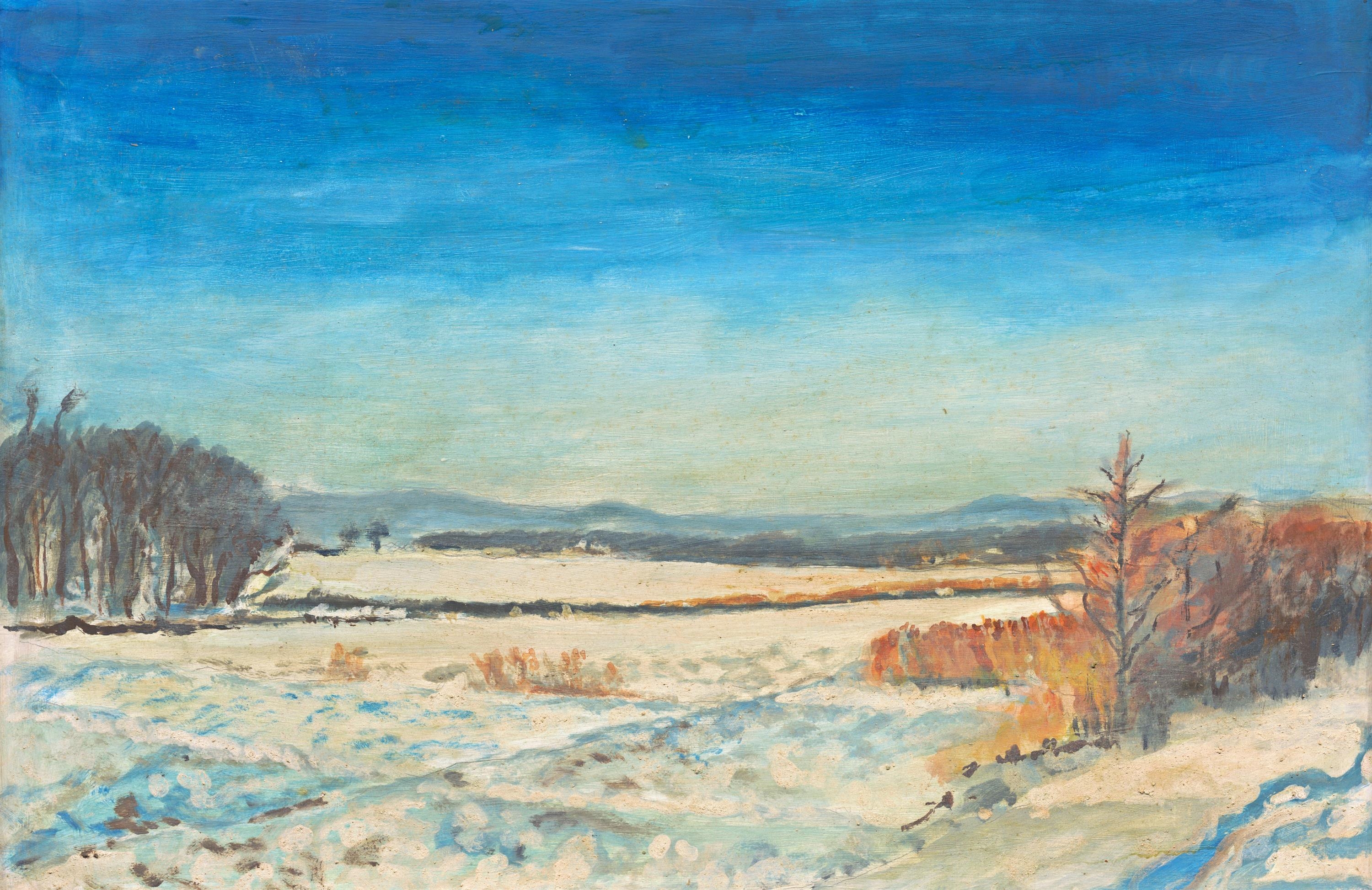 Milan Schiller | Zima | MutualArt