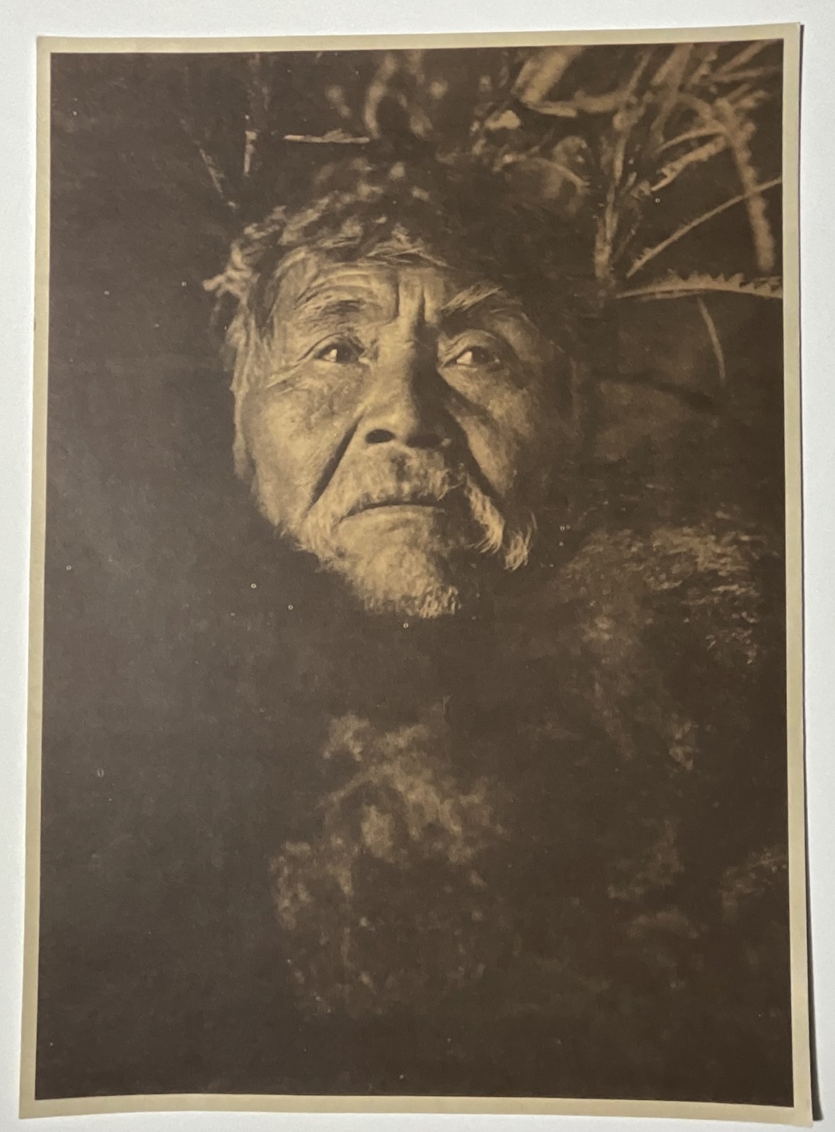 Edward S. Curtis | Portrait of Native American Man | MutualArt