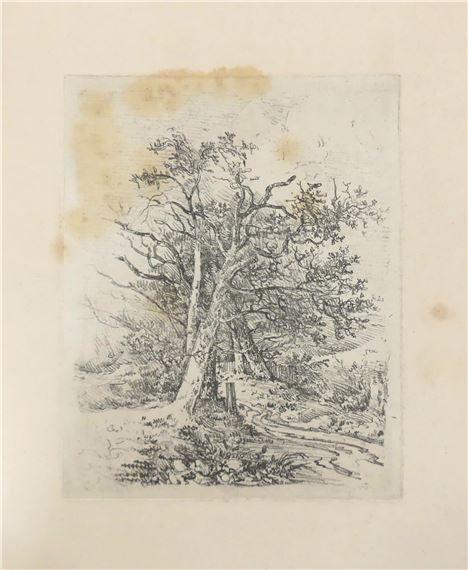 John Crome | Tree trunks and lane | MutualArt