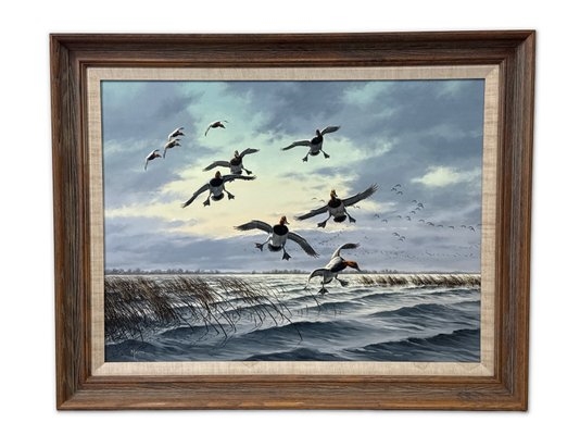David Maass | Canvasback Ducks in Flight | MutualArt