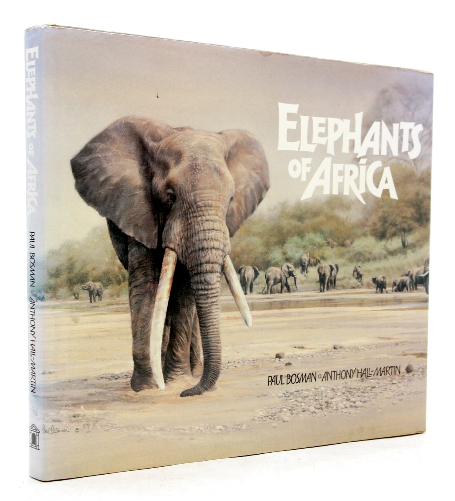 Paul Bosman | Elephants of Africa | MutualArt