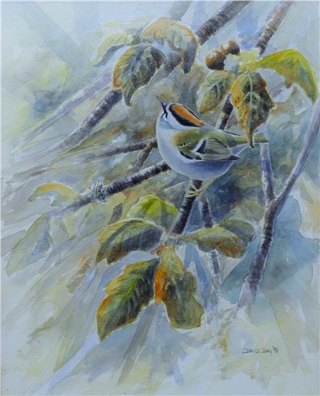 David Daly | Firecrest | MutualArt