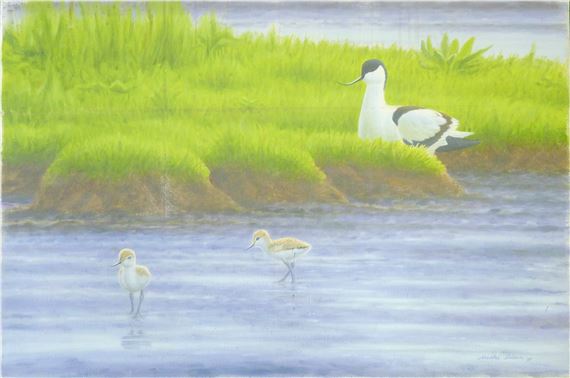Nicolas Dillon | Avocet and Chicks (1991) | MutualArt