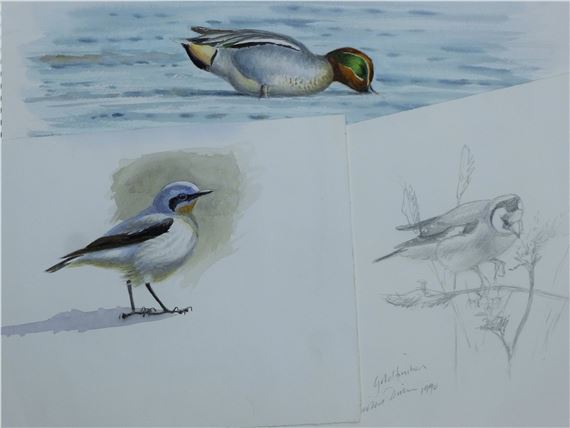 Nicolas Dillon | Goldfinches, Wheatear and Teal | MutualArt