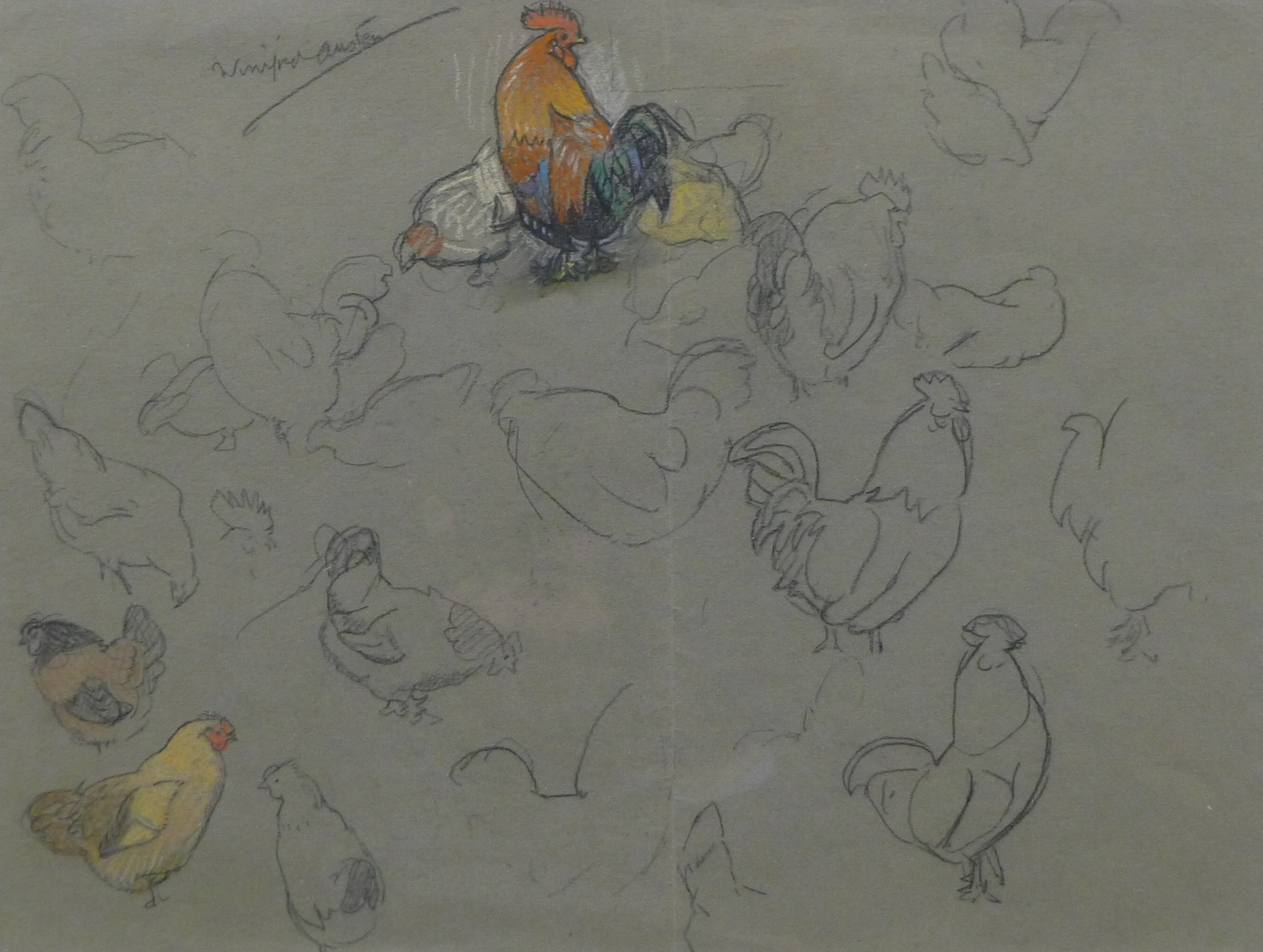 Winifred Austen | Chicken Studies | MutualArt