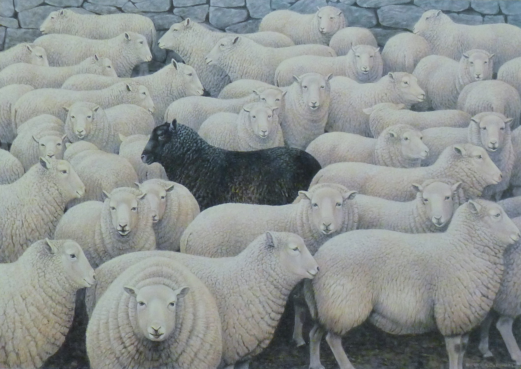 Patrick Oxenham | Black Sheep | MutualArt