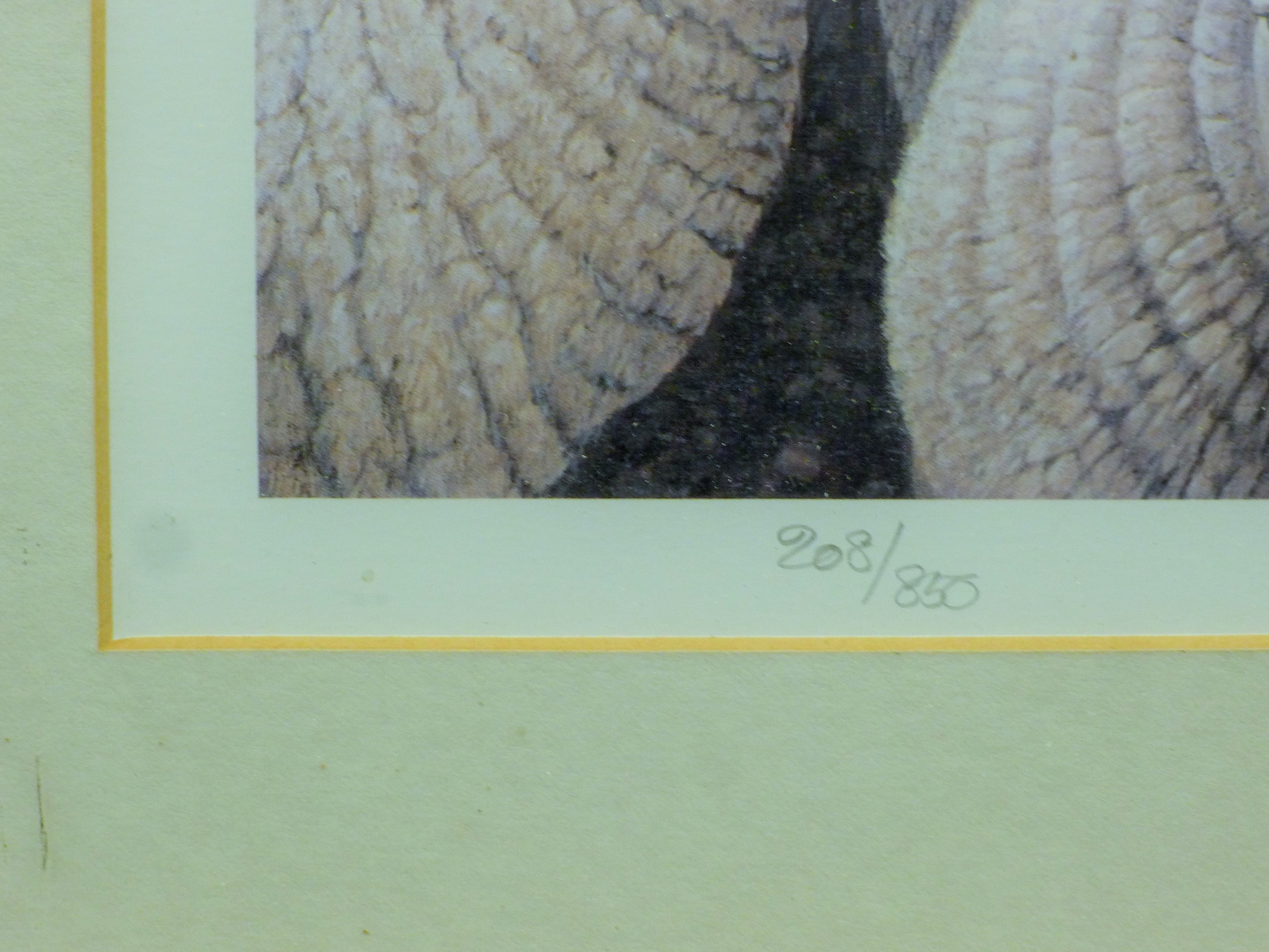 Patrick Oxenham | Black Sheep | MutualArt