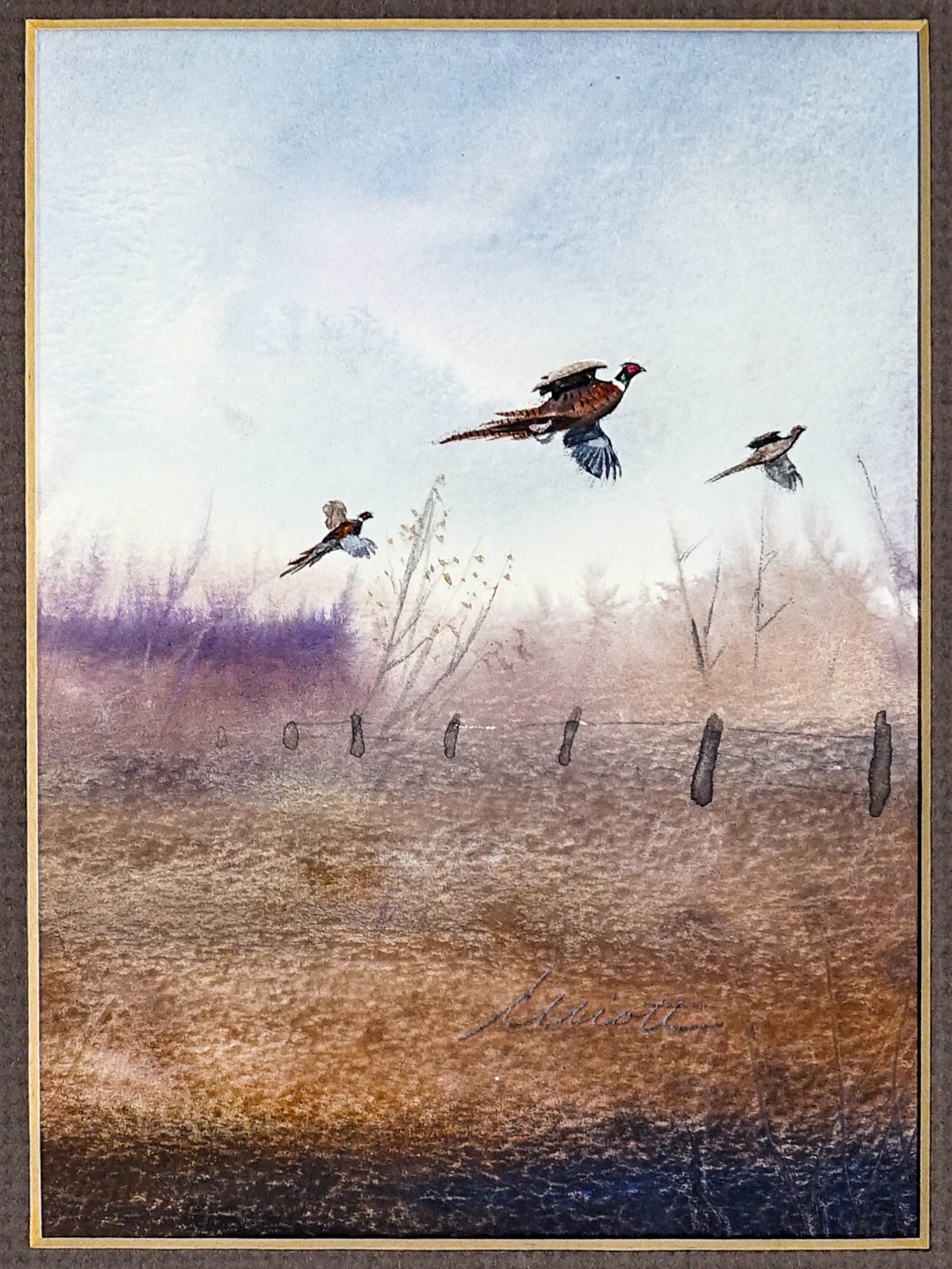 Stephen C. Elliott | Original Watercolor [Pheasants | MutualArt